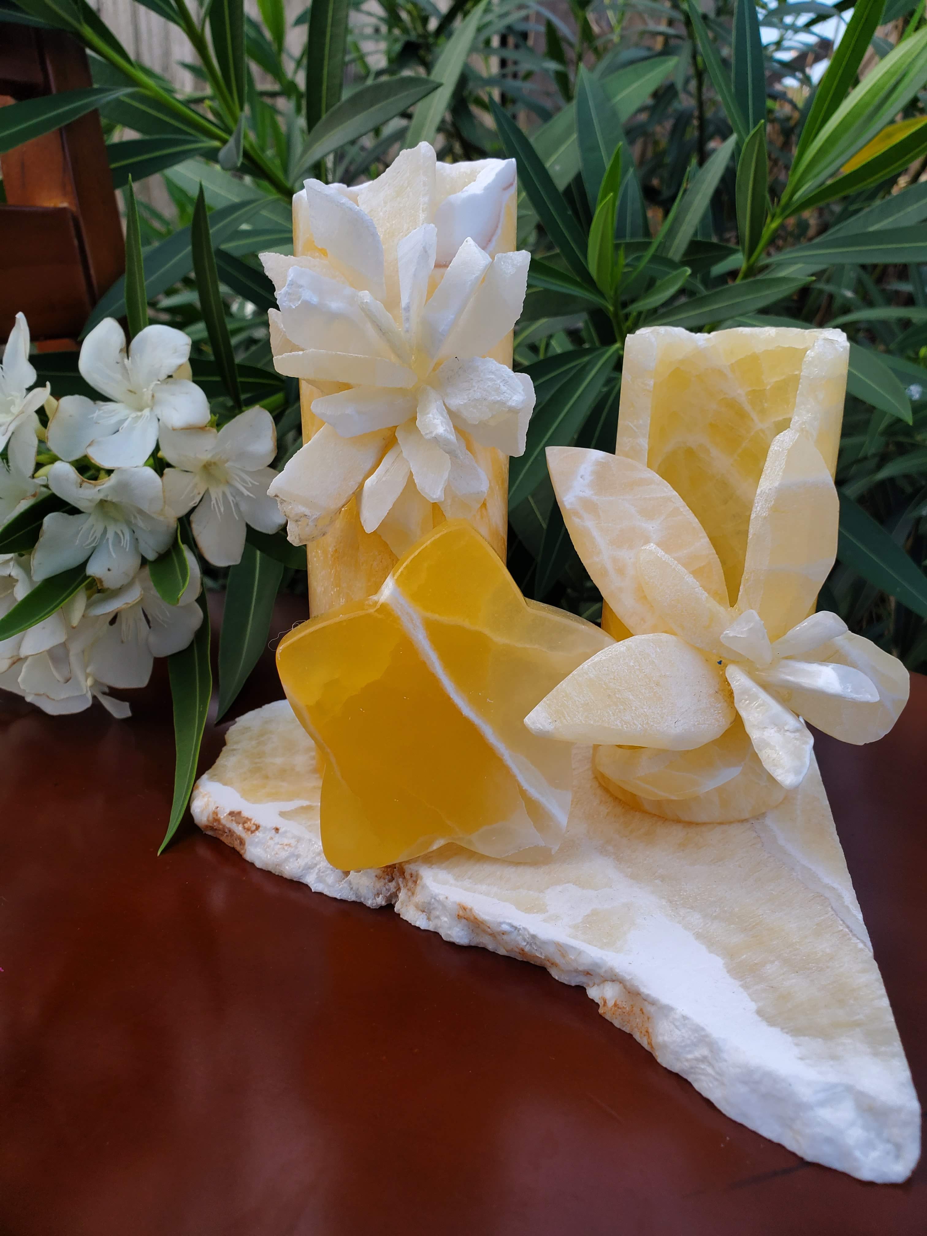 The Blooms Collection – The Hills Retail